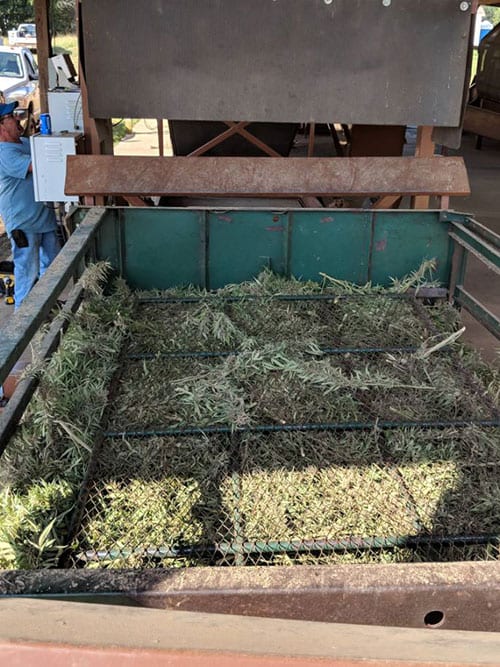 Hemp Equipment | Hemp Farming Machines | Granville Equipment